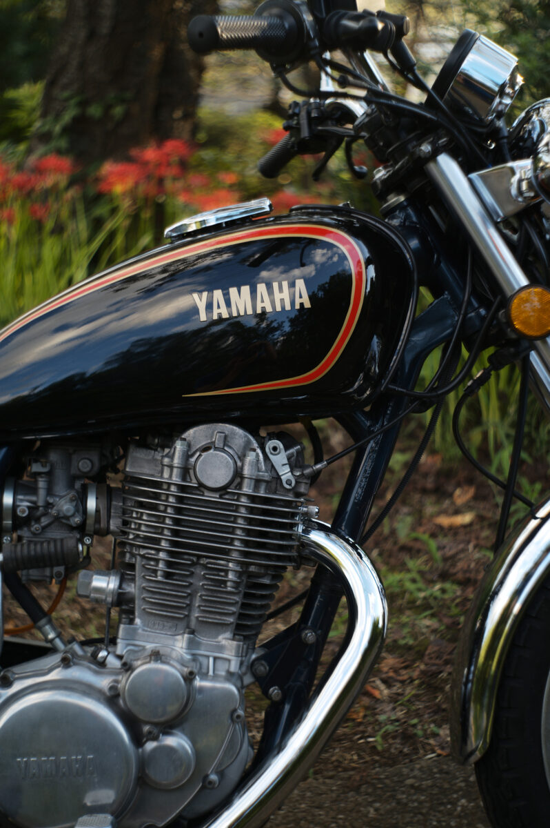 Daron 50mm f2.9 (L) Witness用 + ライカ M10 – 試写館 | Test Shoot Gallary