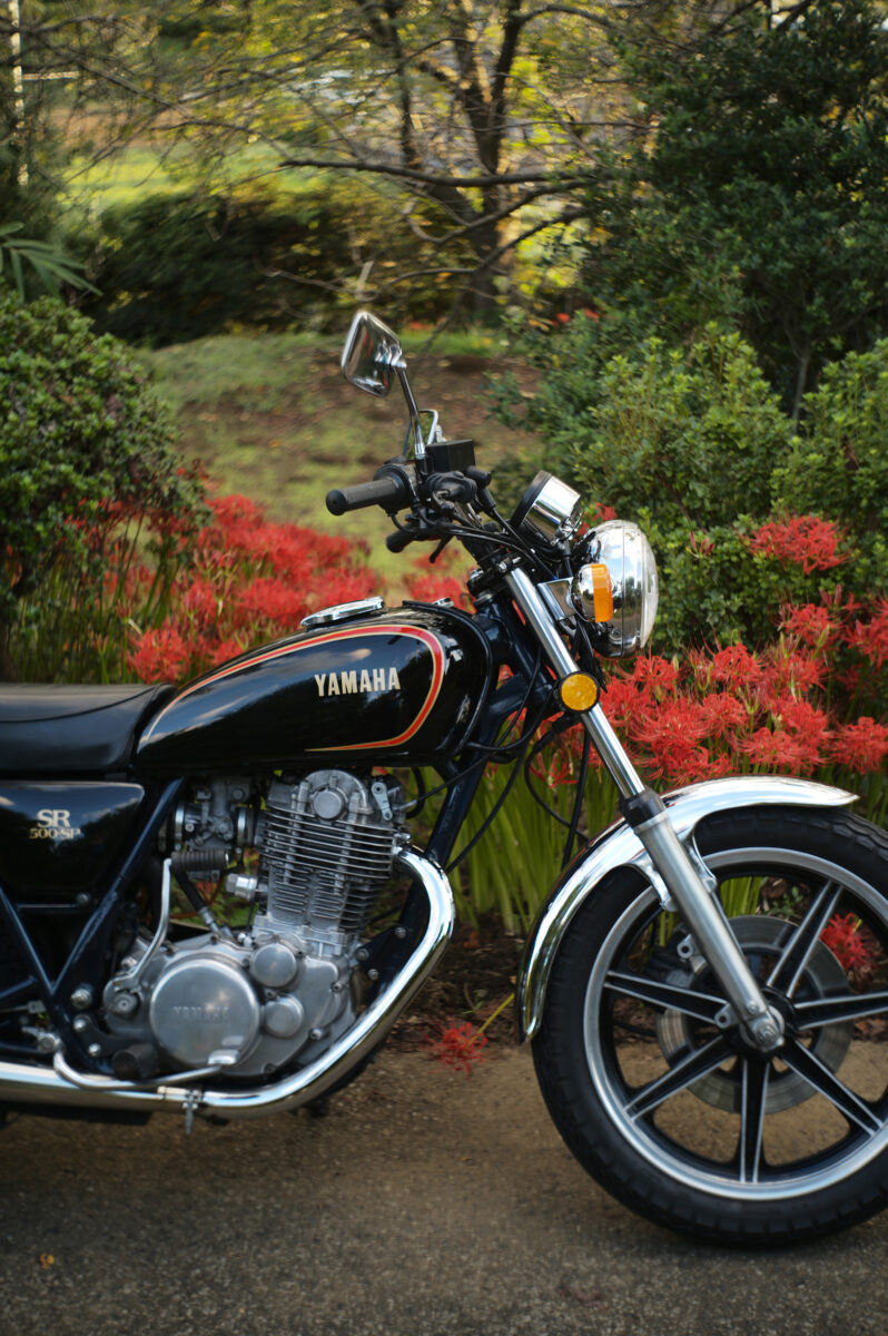 Daron 50mm f2.9 (L) Witness用 + ライカ M10 – 試写館 | Test Shoot Gallary