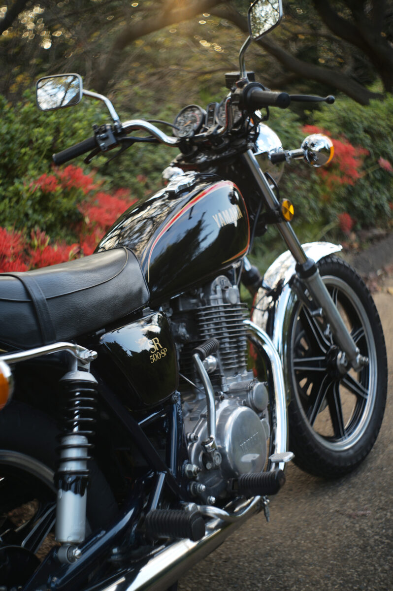 Daron 50mm f2.9 (L) Witness用 + ライカ M10 – 試写館 | Test Shoot Gallary