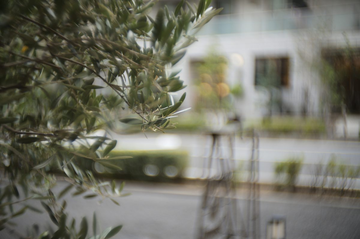 Hugo Meyer Kino-Plasmat 50mm f1.5 (M改) + Leica M10-P – 試写館 | Test Shoot ...