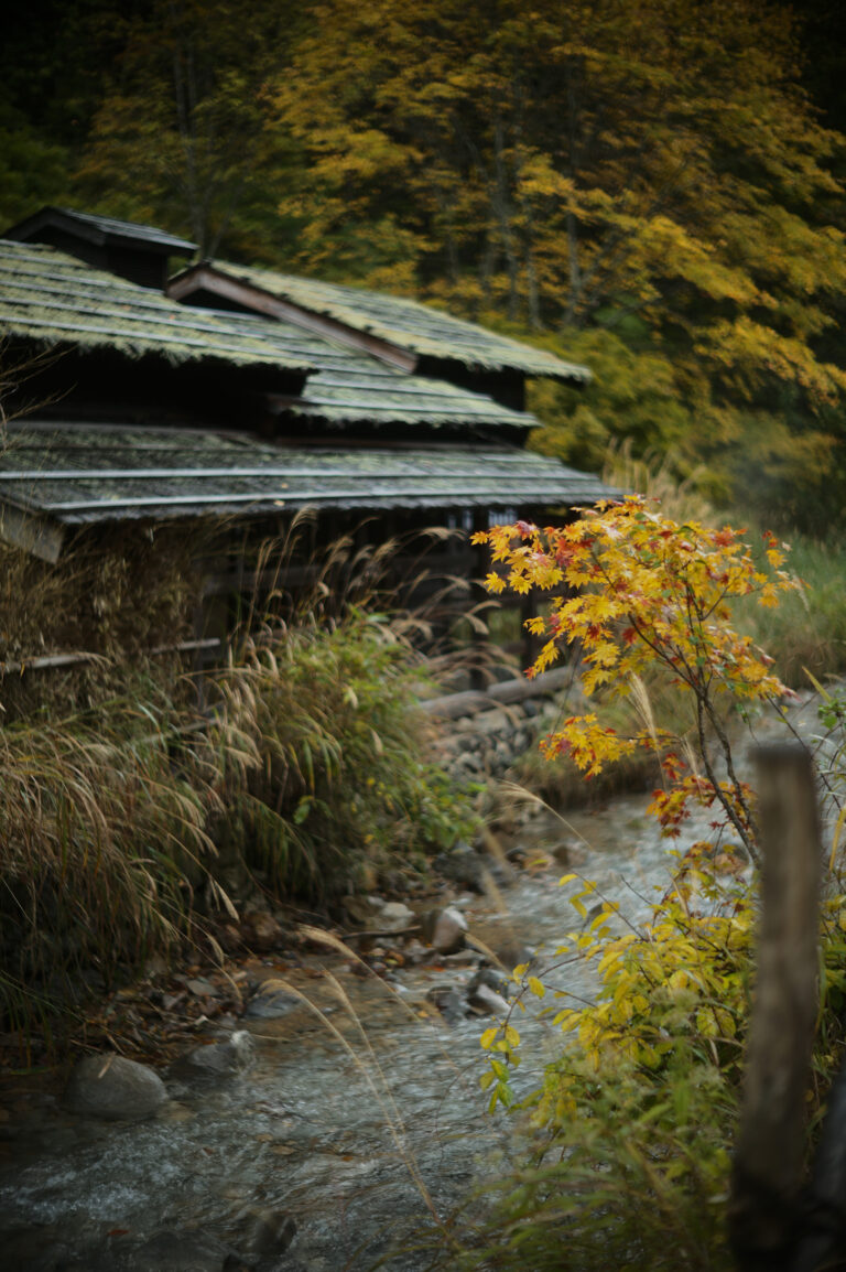 Noctilux 50mm f1.2 初代ノクティルクス 225万台 + Leica M10-P＆M9 – 試写館 | Test Shoot ...