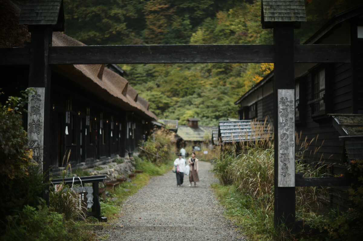 Noctilux 50mm f1.2 初代ノクティルクス 225万台 + Leica M10-P＆M9 – 試写館 | Test Shoot ...