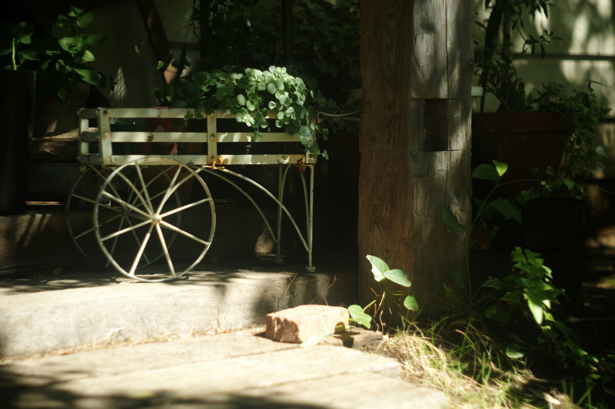 Som Berthiot Flor 75mm f2.8 (L) + Leica M9 – 試写館 | Test Shoot Gallary