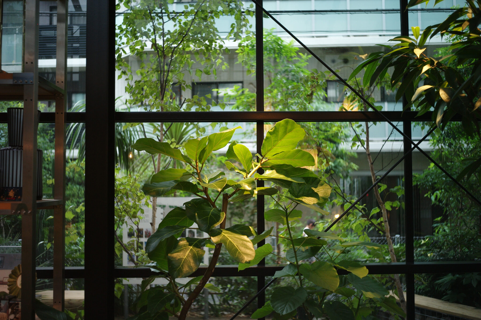 Rodenstock Heligon 35mm f2.8 (L) + Leica M9 – 試写館 | Test Shoot Gallary