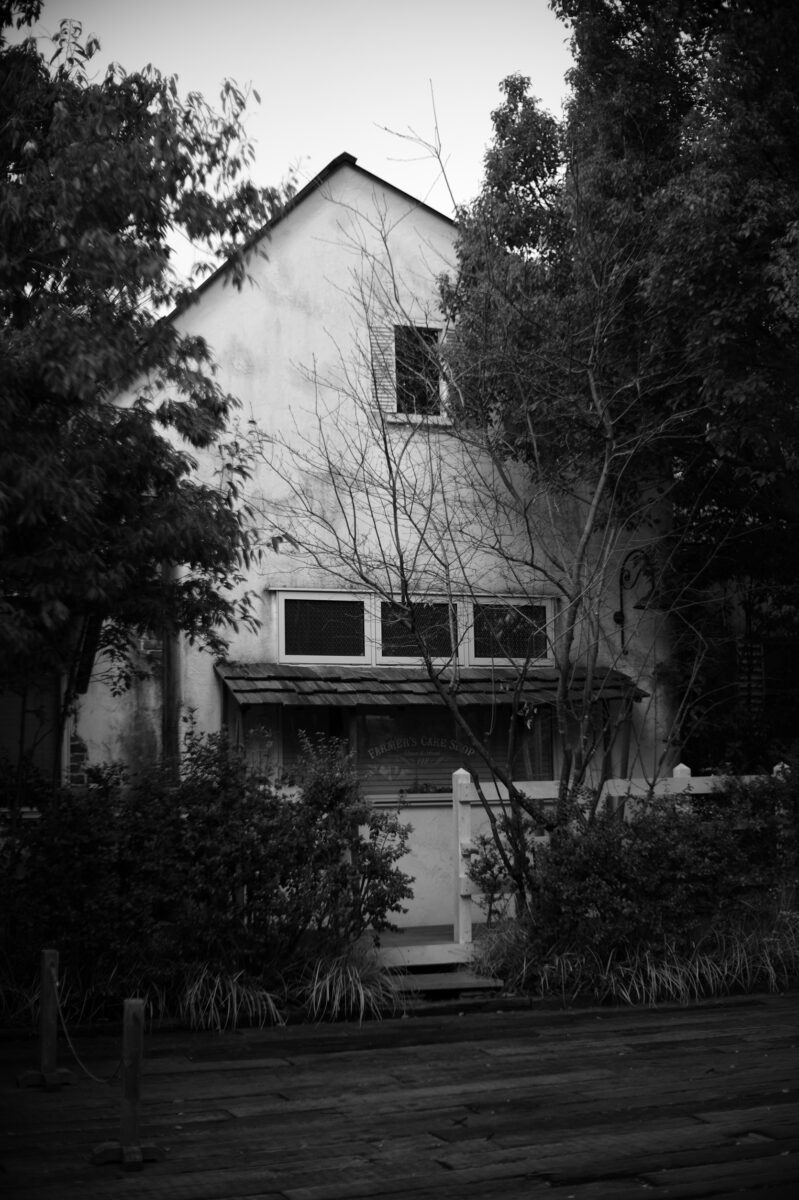 初代 Noctilux 50mm f1.2 (M) + Leica M9 – 試写館 | Test Shoot Gallary