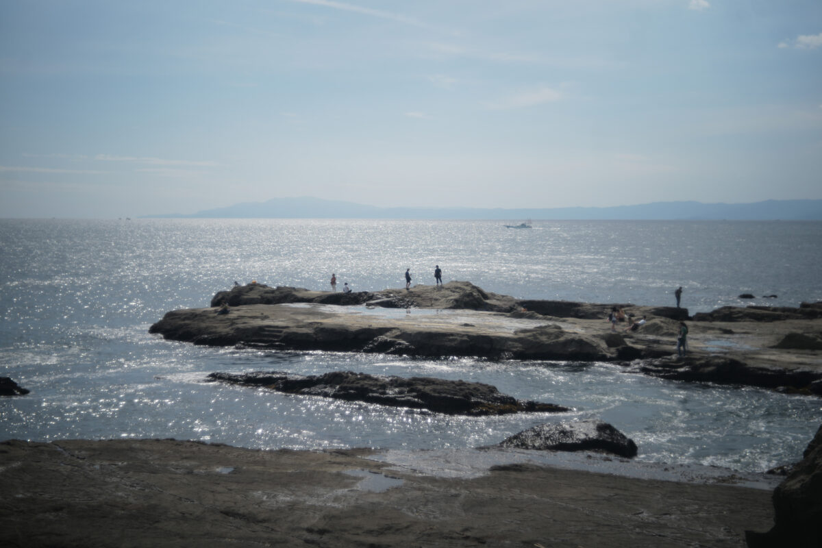 Summar 50mm f2 (L) Nickel コーティング付 + Leica M10-P – 試写館 | Test Shoot Gallary